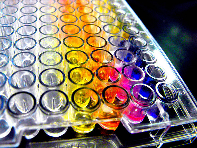 VCE Chemistry: Scientific investigation poster | reliable rubrics